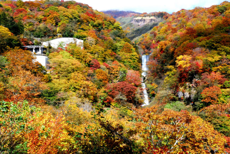 Best Places to See Autumn Leaves in Nikko | Kuriyama Go Travel